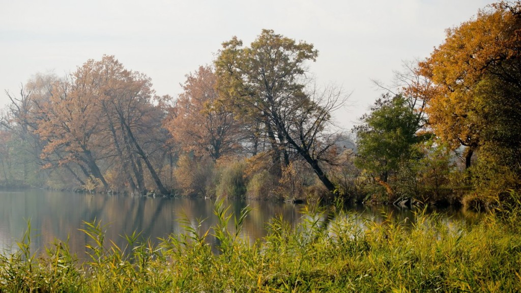 Красота природы | FotoRelax