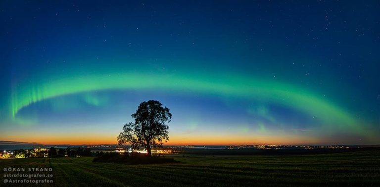 Переливы зеленого | FotoRelax